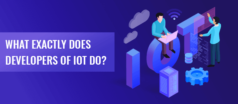 IoT developer or engineer skills for the software development